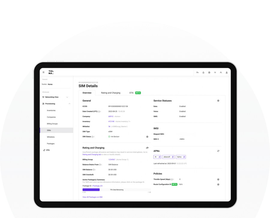 Global Cellular Connectivity | Telna